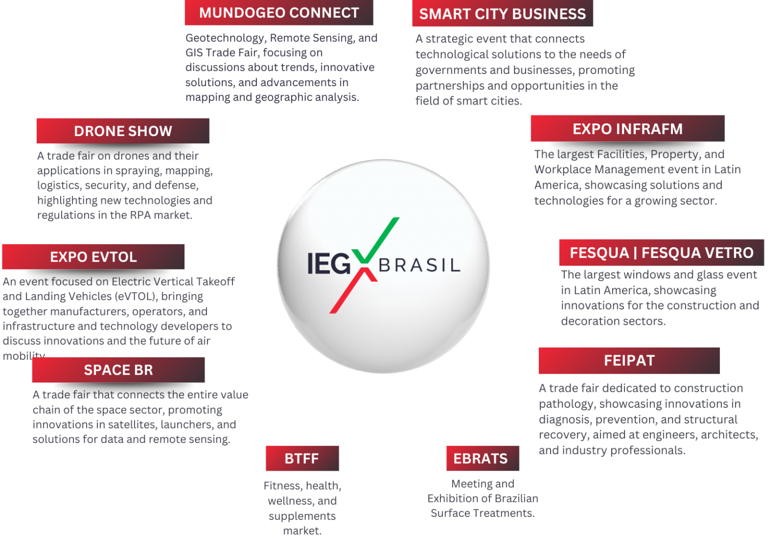 WHO WE ARE - IEG BRASIL